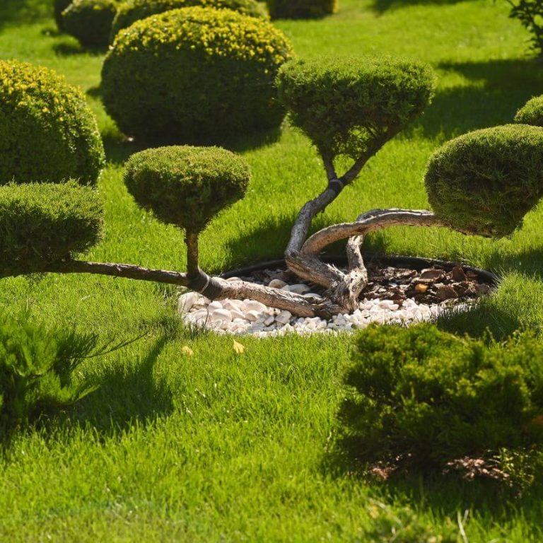 Softscaping Design ☑️ Top-Rated Landscaping Service Etobicoke